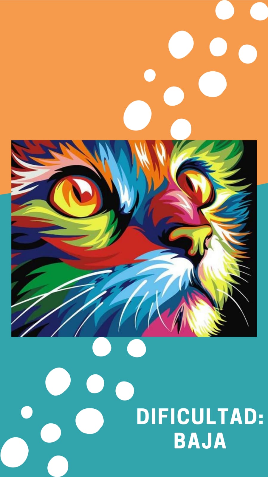 Pintura por Números motivo Gato - Rappi