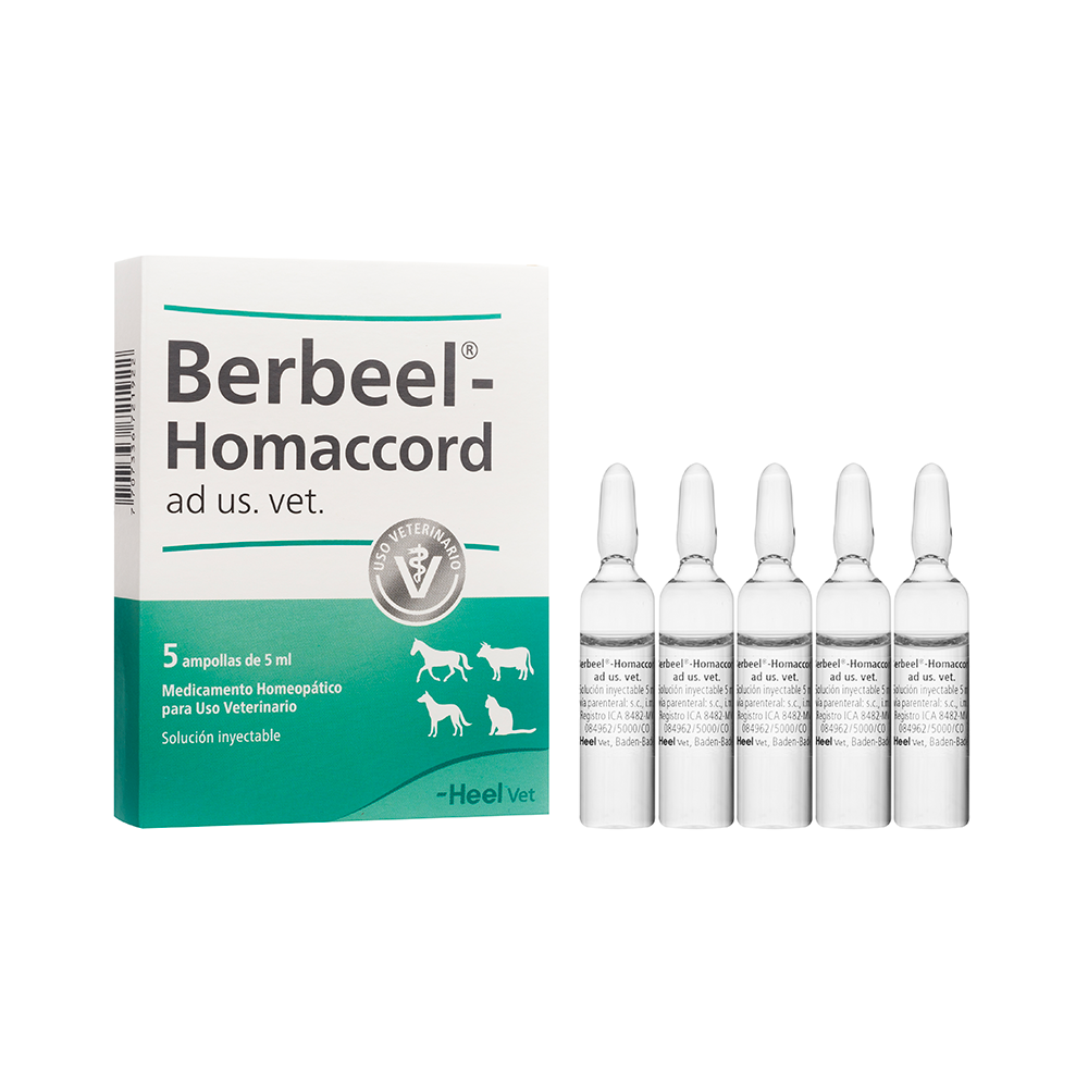 Berbeel Homaccord Solución Inyectable 5 mL - Rappi