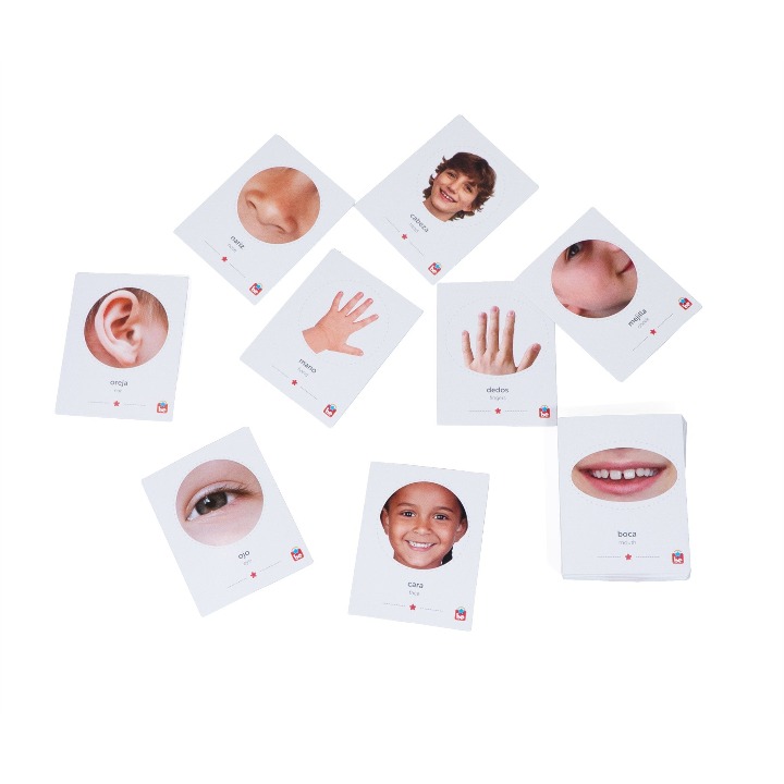 Flashcards Partes Del Cuerpo X 35 - Rappi