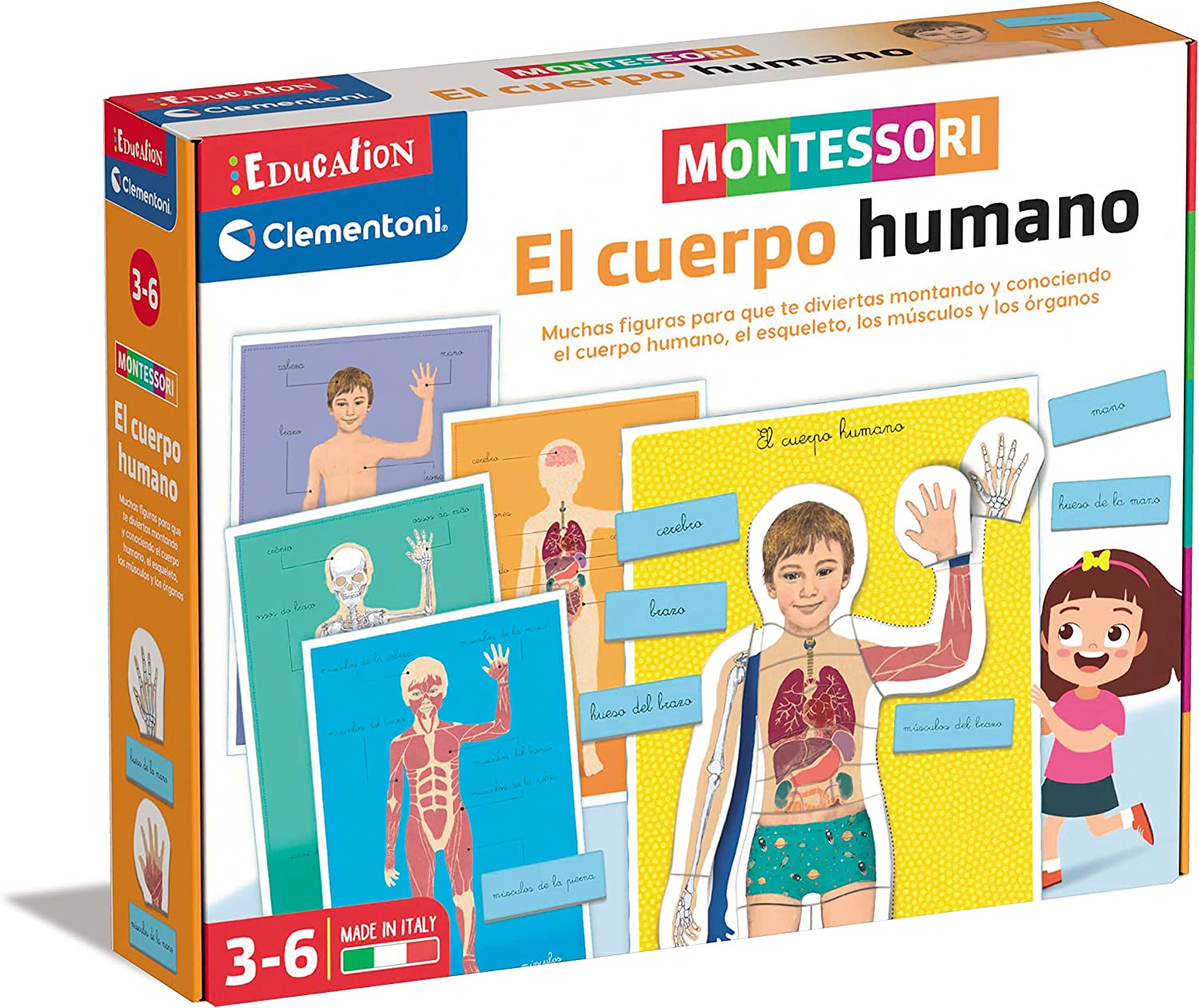 Juego Didáctico Montessori Aprendiendo El Cuerpo Humano Niño - Rappi