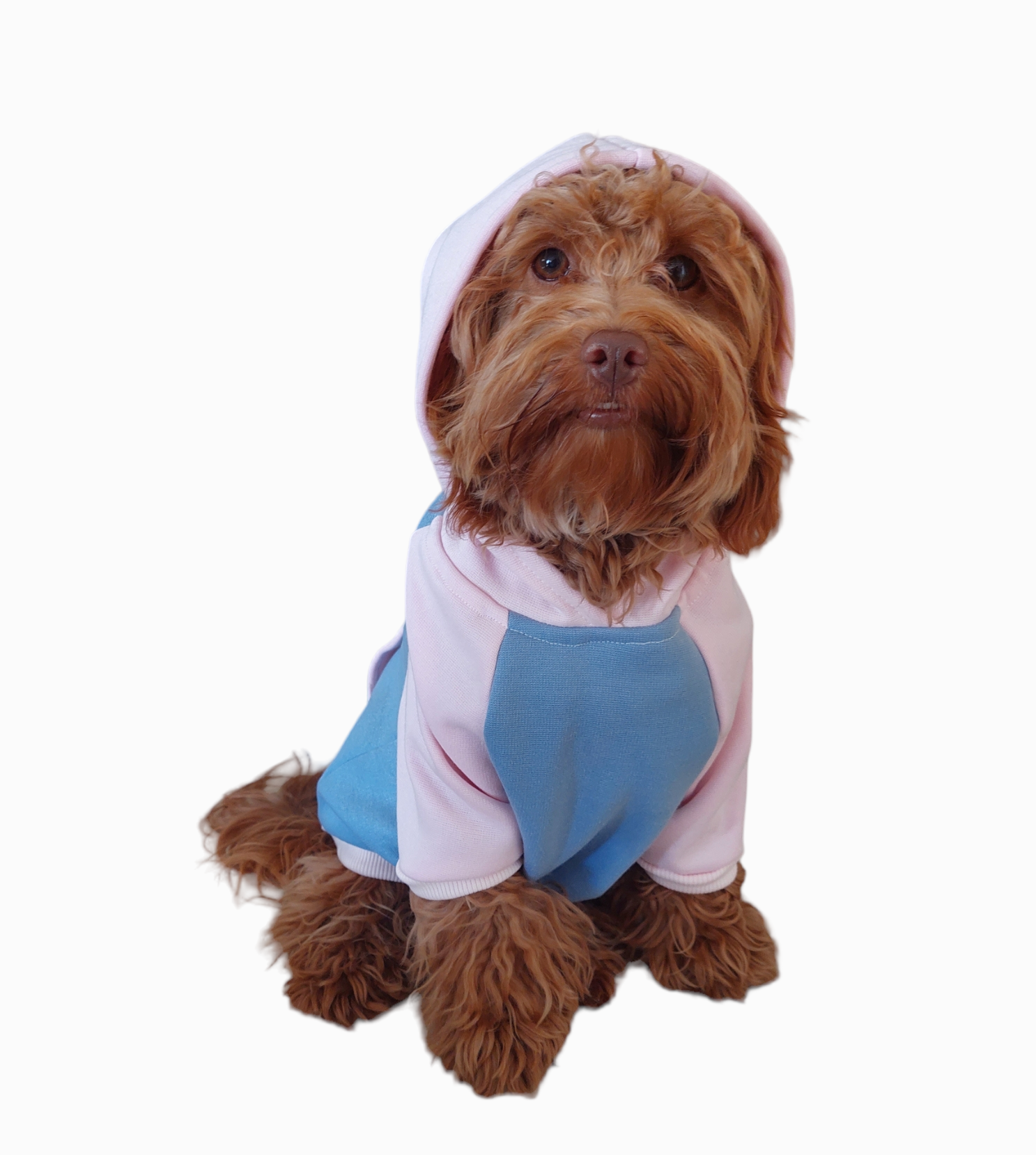 Buzo Para Perros Colores Pasteles Con Estampado "animal Vibes Only ...