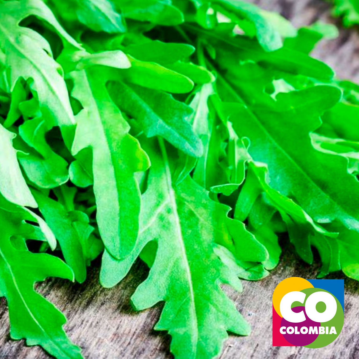 Lechuga Rugula Por 200 Gramos - Rappi