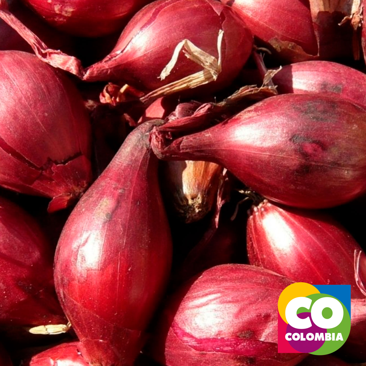 Chalota Echalot Por Libra - Echalote - Rappi