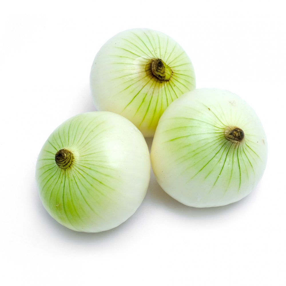 Cebilla Cabezona Blanca - Rappi