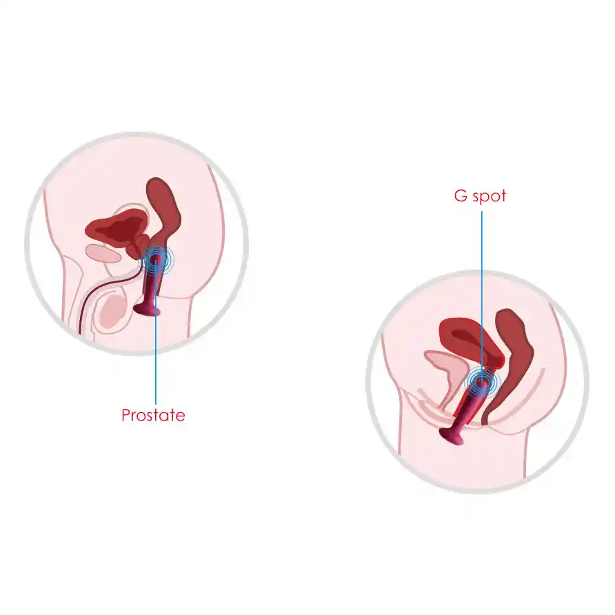 Plug Anal Termico Primo Fucsia Svakom - Rappi