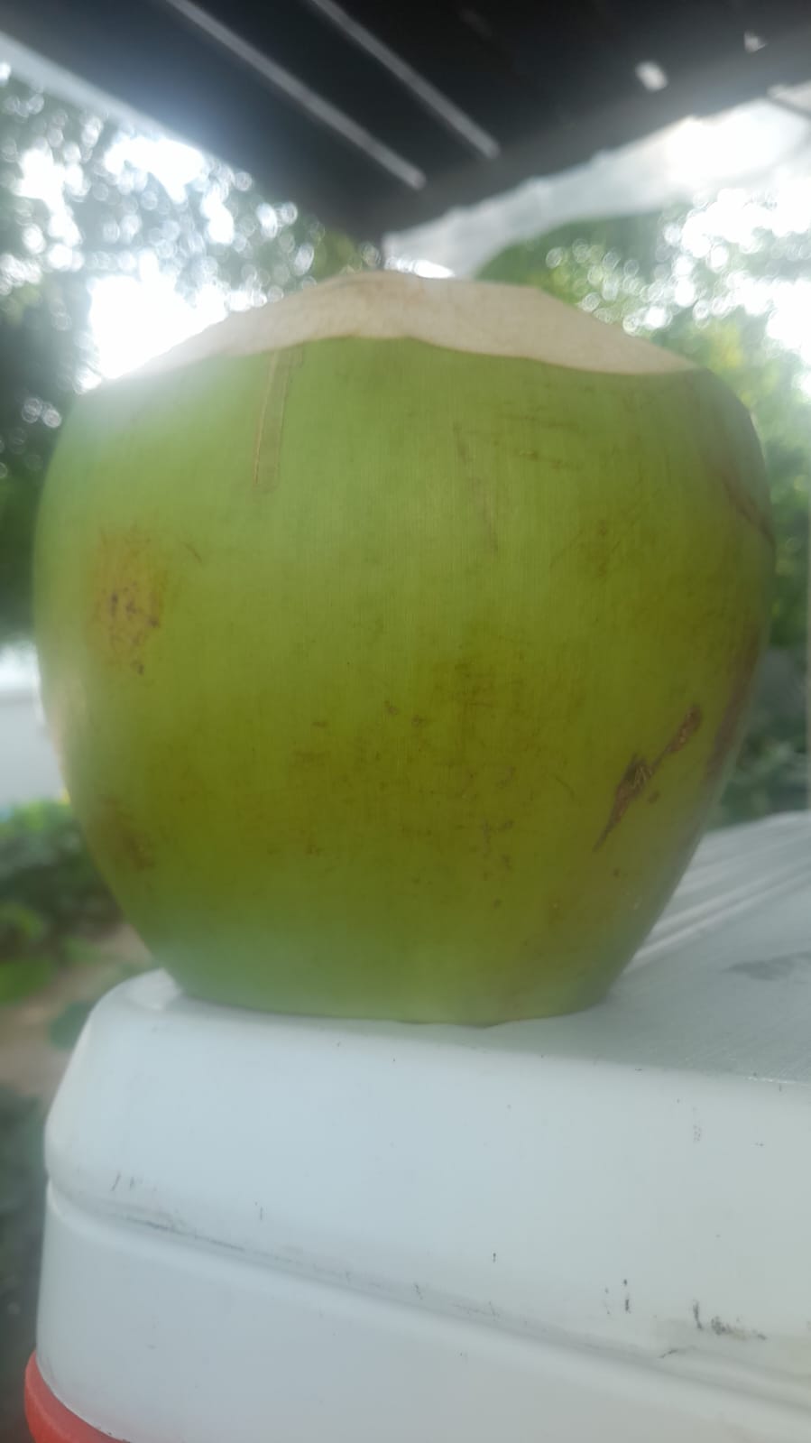 Coco Frio Fruta - Rappi