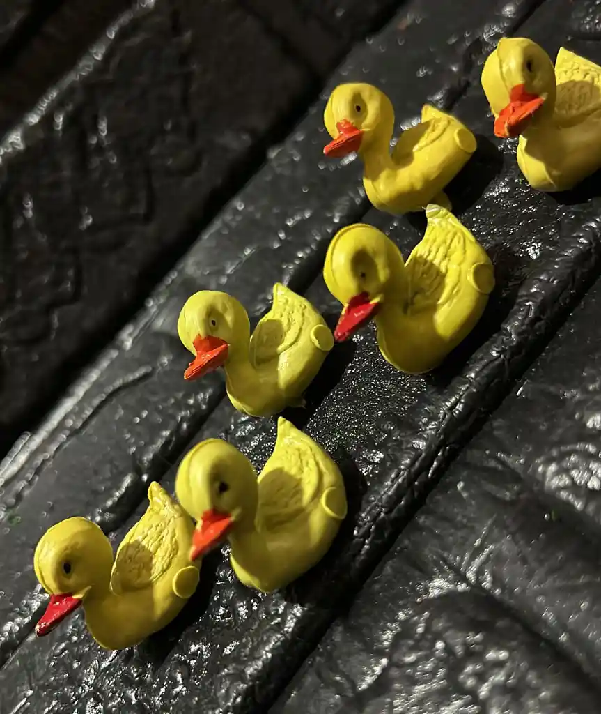 Animales Maqueta / Pesebre Pato X6 Unidades - Rappi