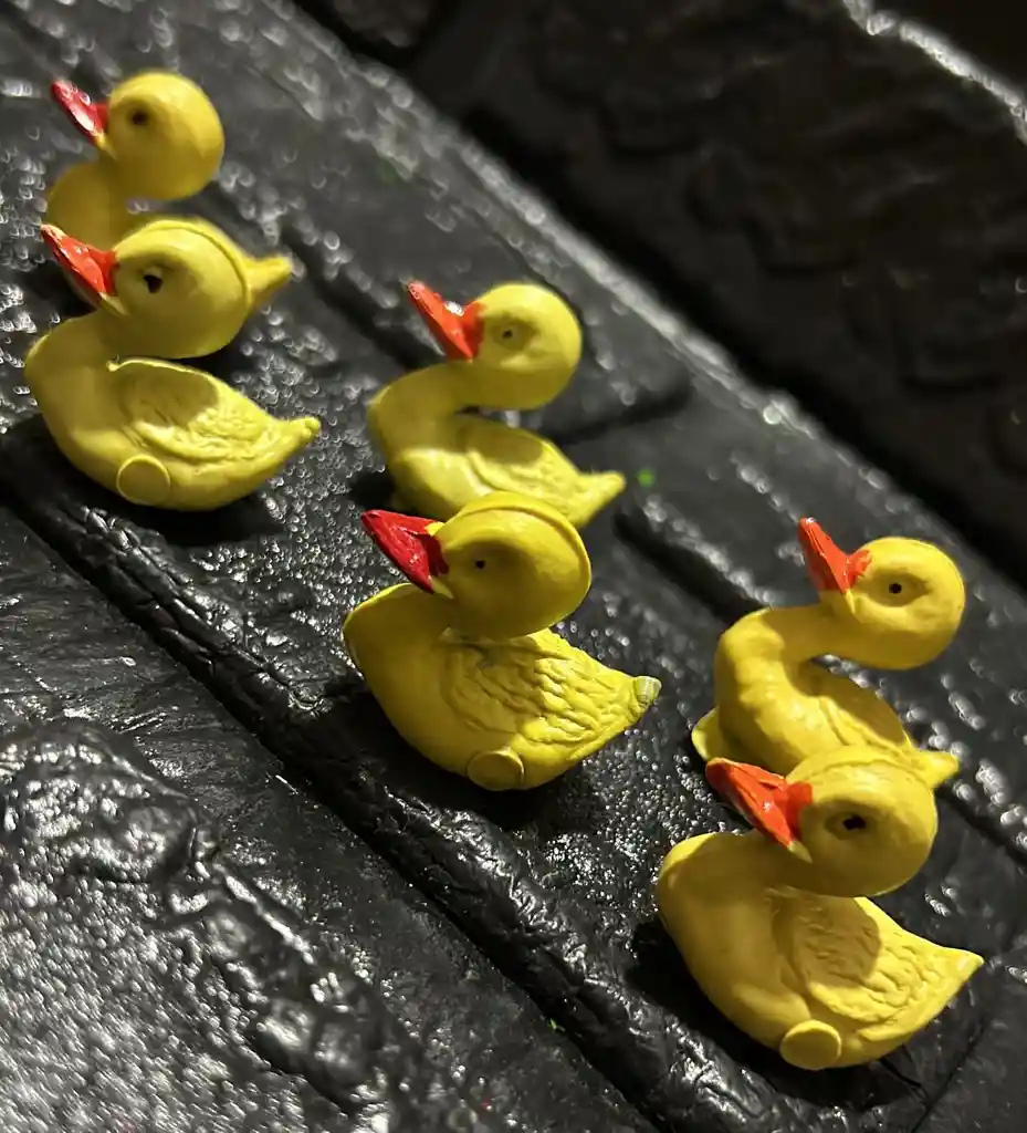 Animales Maqueta / Pesebre Pato X6 Unidades - Rappi