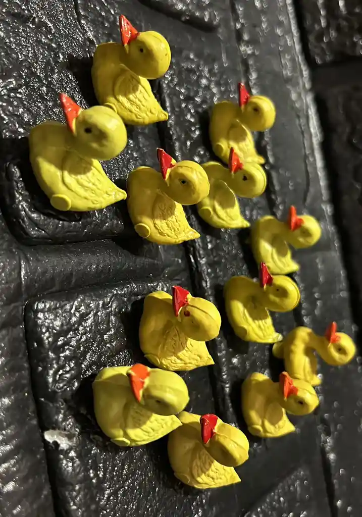 Animales Maqueta / Pesebre Pato X12 Unidades - Rappi