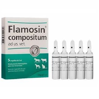 Flamosin Compositum Ampollas X 5ml - Rappi