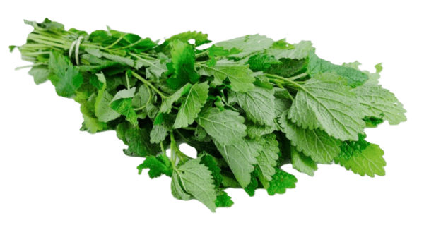 Atado De Guascas - Rappi