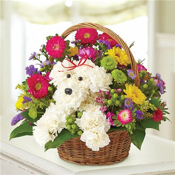 Canasta Con Perrito En Flores Surtidas - Rappi