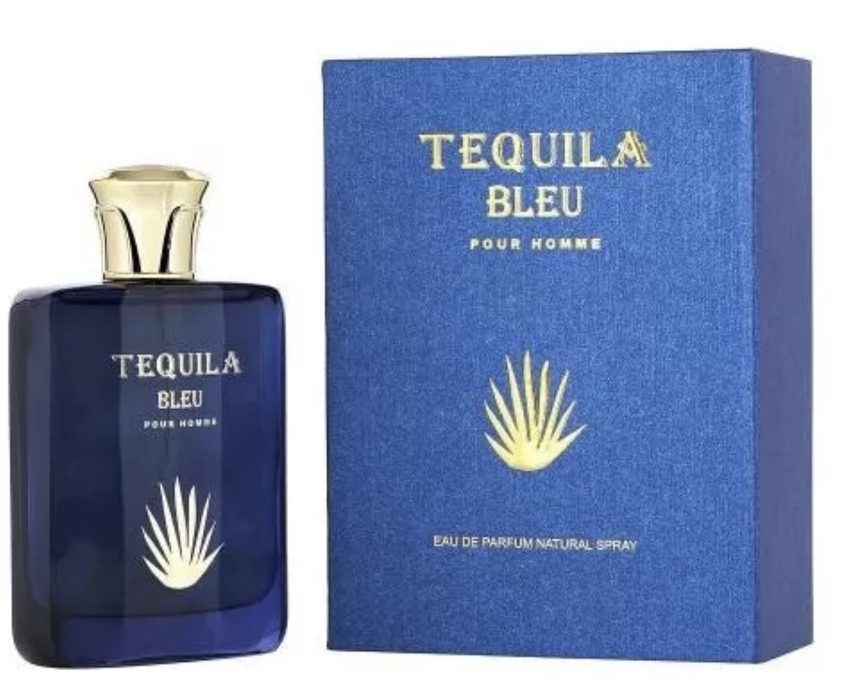 Perfume Tequila Blue 100 Ml Hombre - Rappi