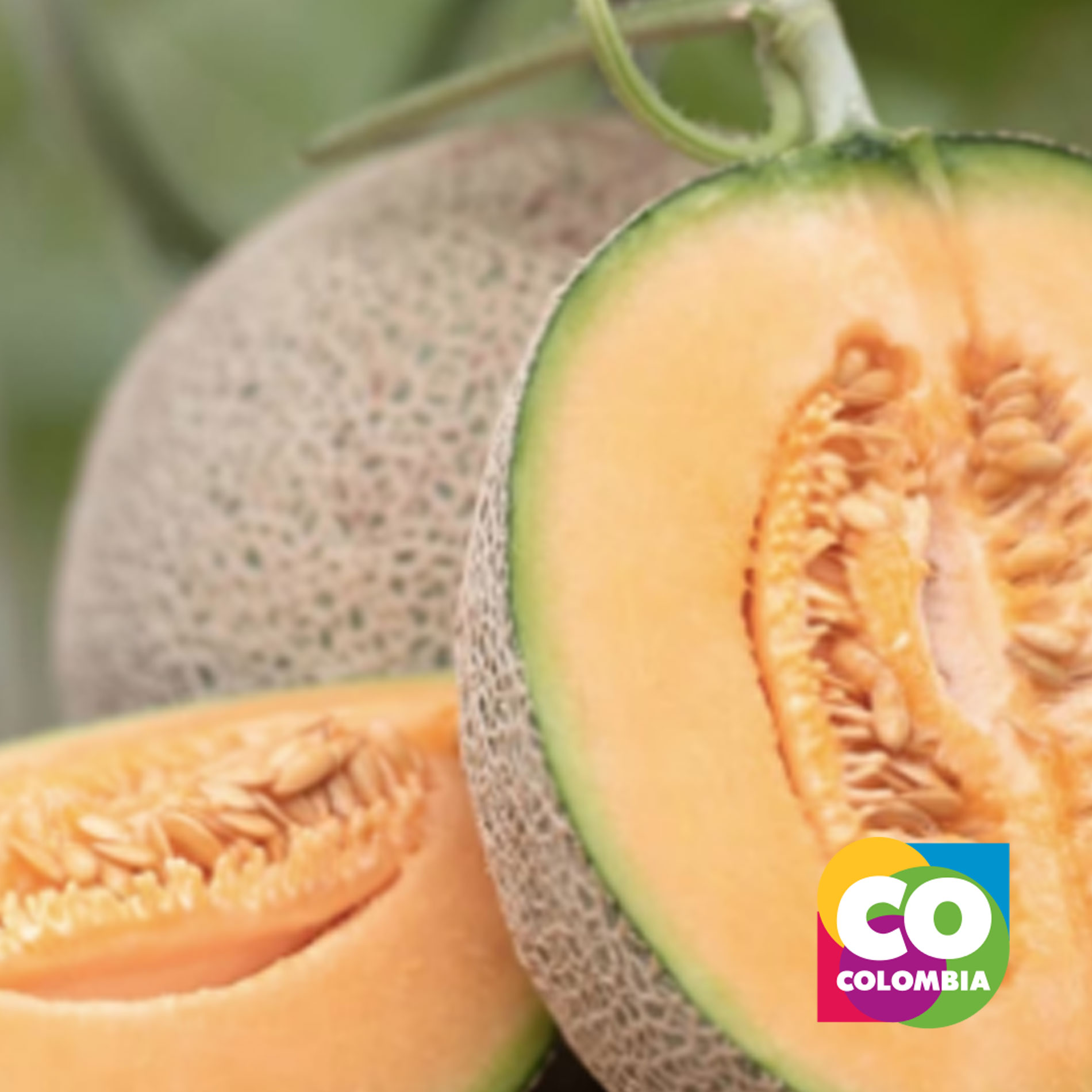 Melon Por Unidad - Rappi