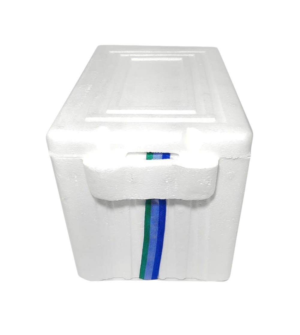 Nevera De Icopor De 10 Litros Con Correa Para Sujetar - Rappi