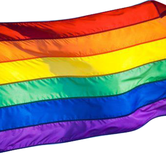 Banderin Bandera Orgullo Gay Pride Lgbt Arcoiris 30cm X 30cm - Rappi