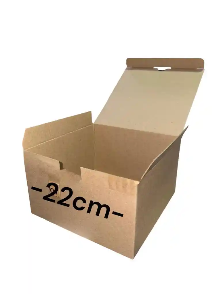 Caja De Carton Microcorrugado 20x20x12 Plegable - Rappi