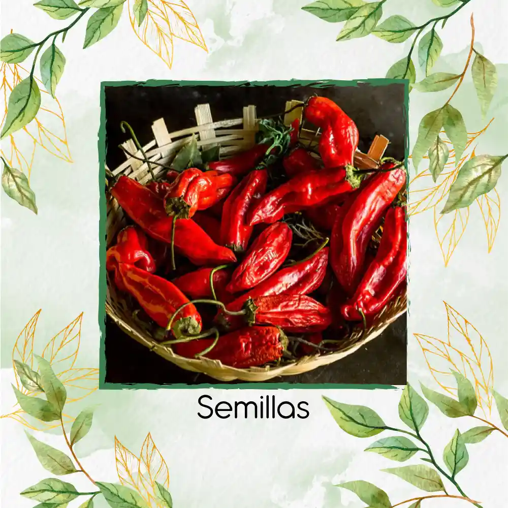 5 Semillas Orgánicas De Ají Cacho O Cuerno De Toro - Rappi