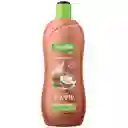 Algabo Shampoo de Coco y Leche Suavidad desde $ 9.990
