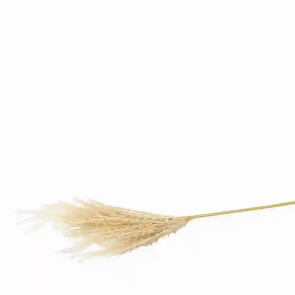Junco Natural 100 cm Ambiente Gourmet - Rappi