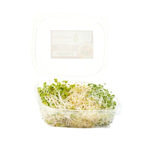 Evergreen Sprouts Germinados Mixtos - Rappi