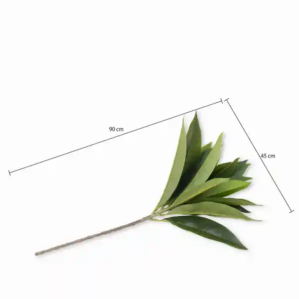 Hoja Plumería 90 cm Ambiente Gourmet - Rappi