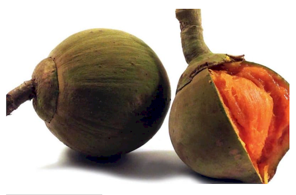 Zapote Cachaco - Rappi