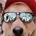 Me Derrito Restaurante - Zona Centro Precios y Menú a Domicilio - Rappi